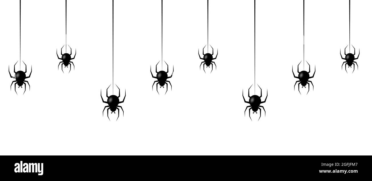 Black spiders hanging web. Seamless pattern with hanging spiders. Scary background for Halloween ...