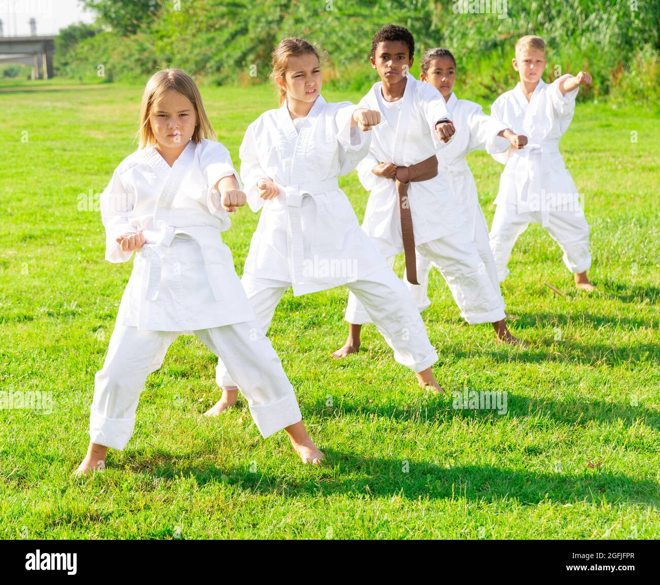 Karate group in kimono, workout in summer field. Martial art training ...