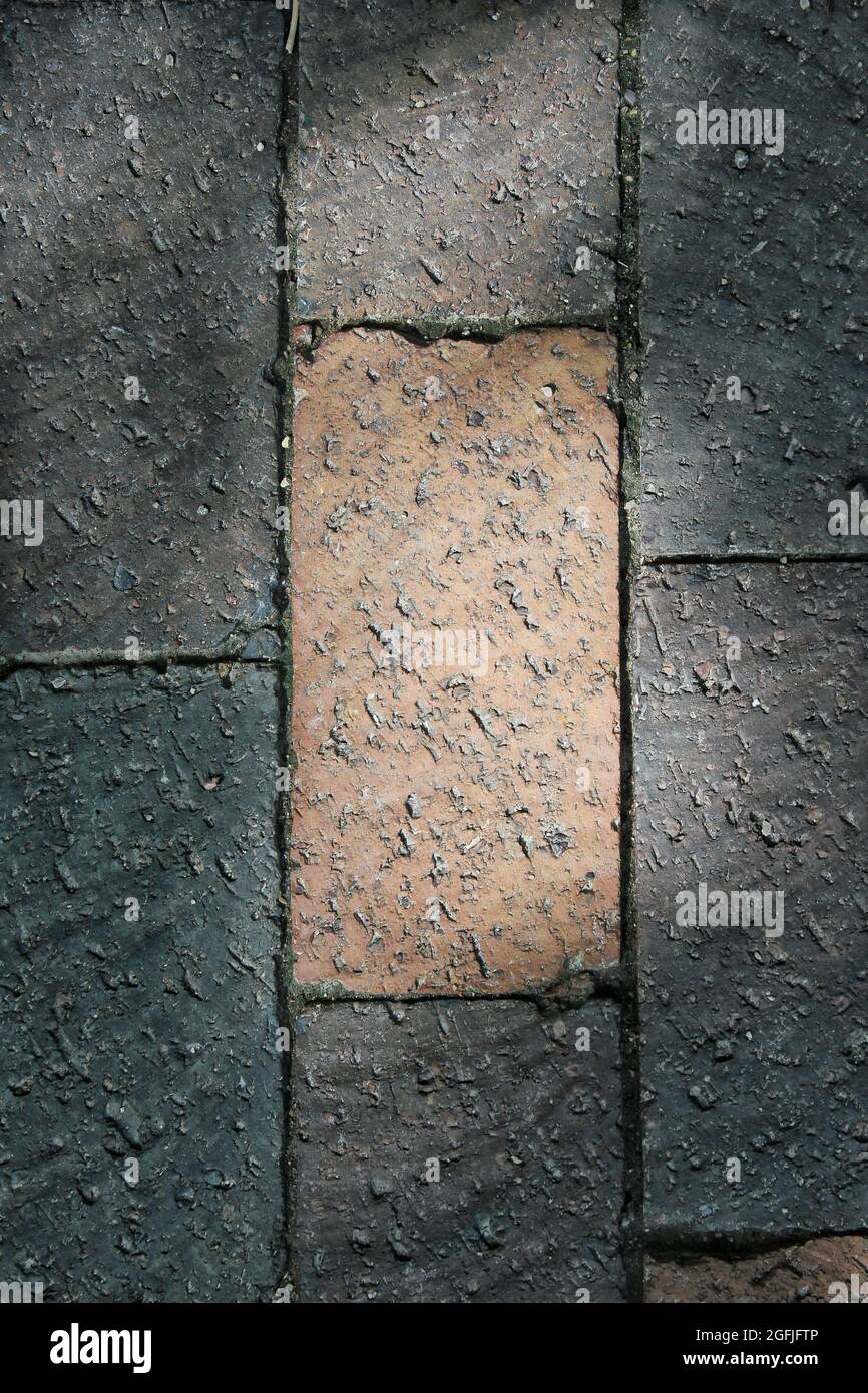 Vintage brick walk in the summer woods Stock Photo - Alamy