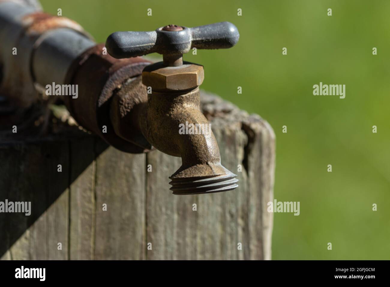 old metal water tap bolted onto a wooden post at a park Stock Photo - Alamy