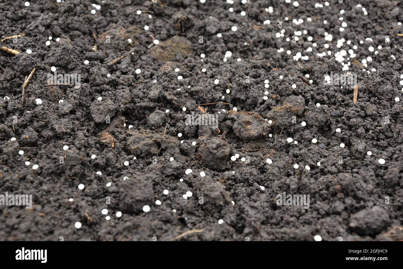 Applying mineral fertilizers to replenish the soil in order to increase ...