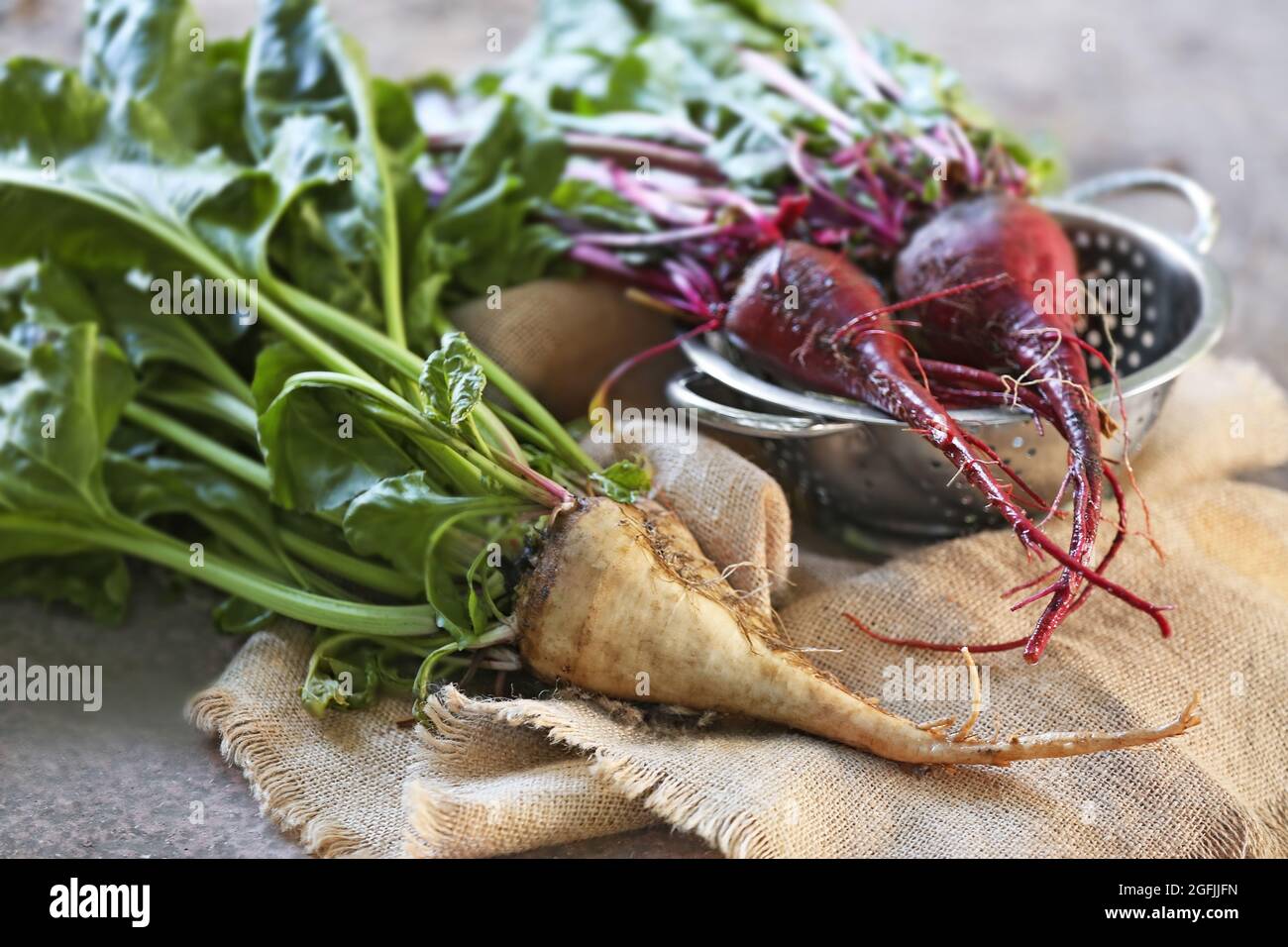 Young beets in strainer and bagging Stock Photo - Alamy
