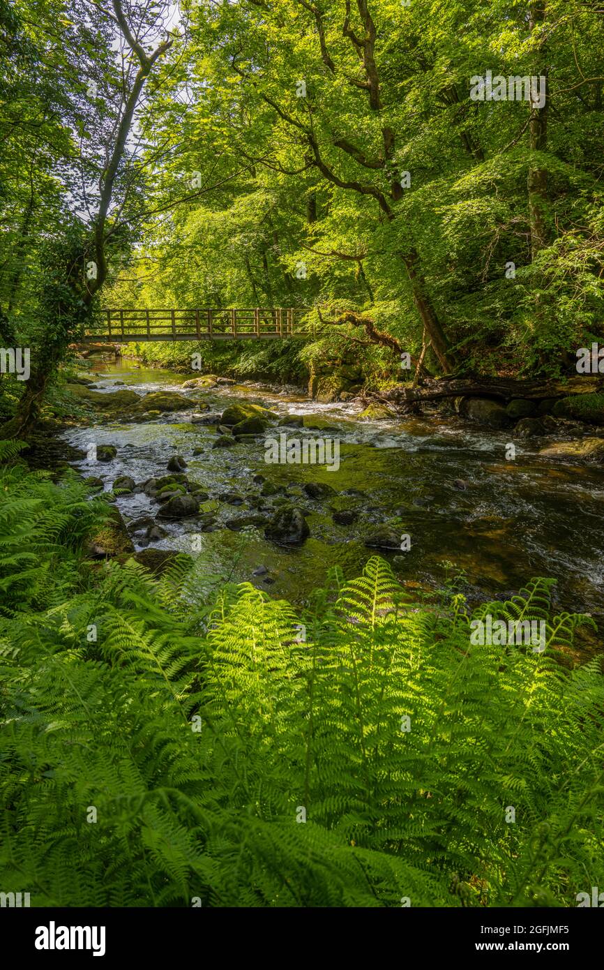 Afon dwyfor hi-res stock photography and images - Alamy