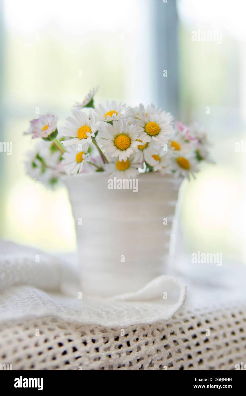 Summer season, the time for the collection of small daisy field Stock ...