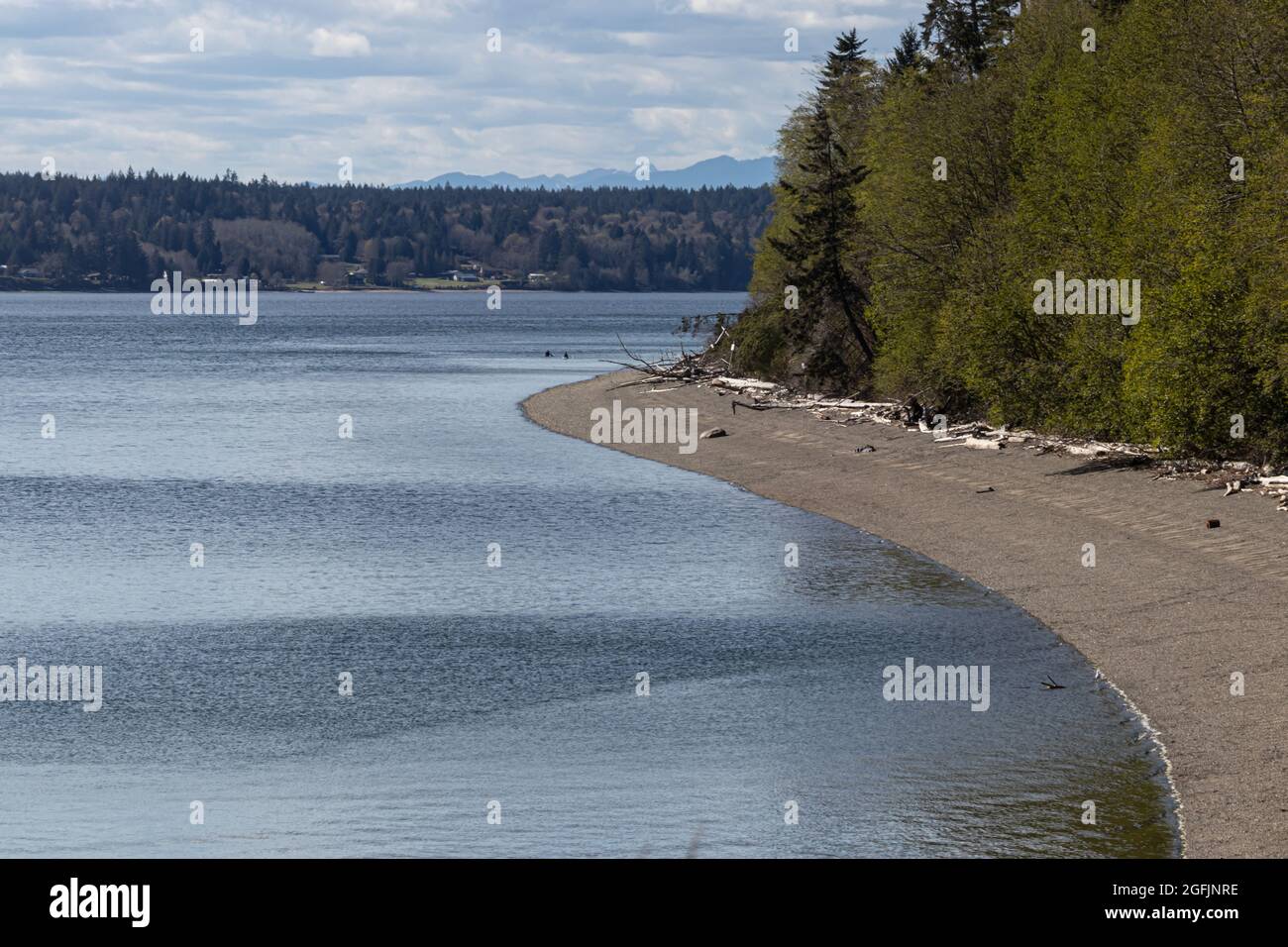 view of a beach in the northwest Stock Photo - Alamy