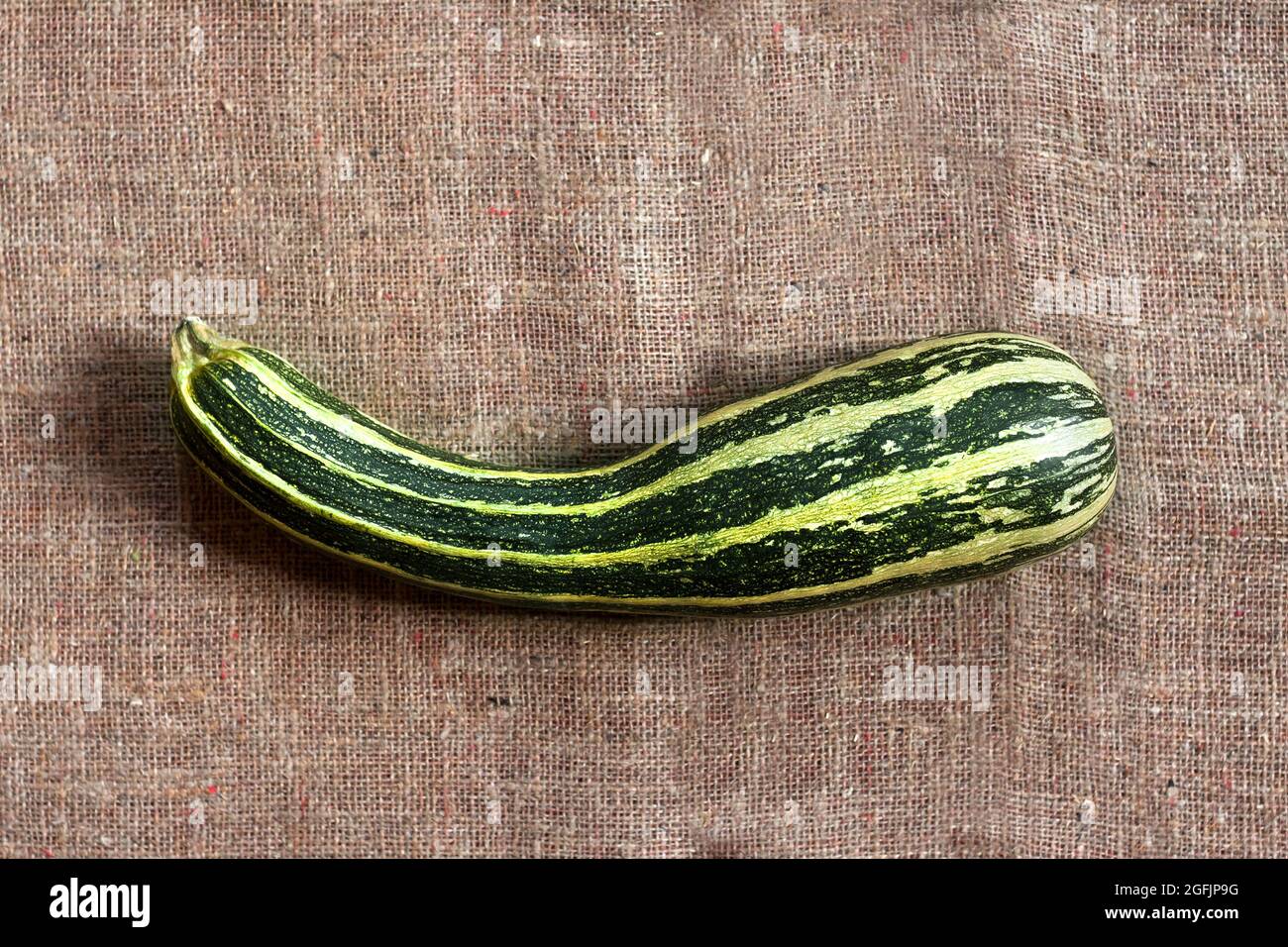 Fresh striped zucchini on sackcloth background with copy space. Flat ...