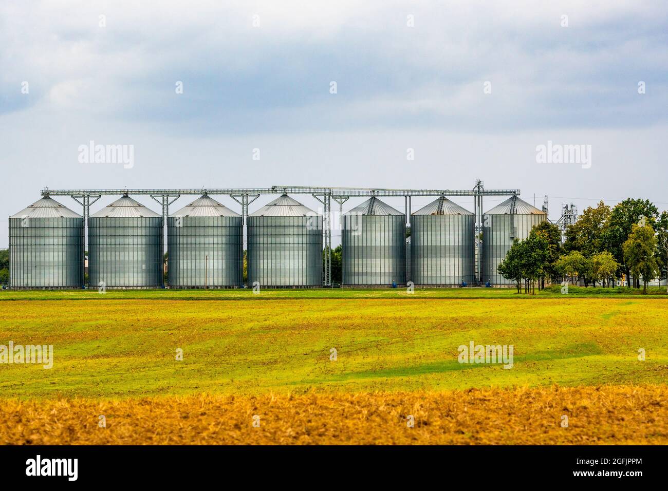 Agro-processing plant for processing and silos for drying cleaning and ...