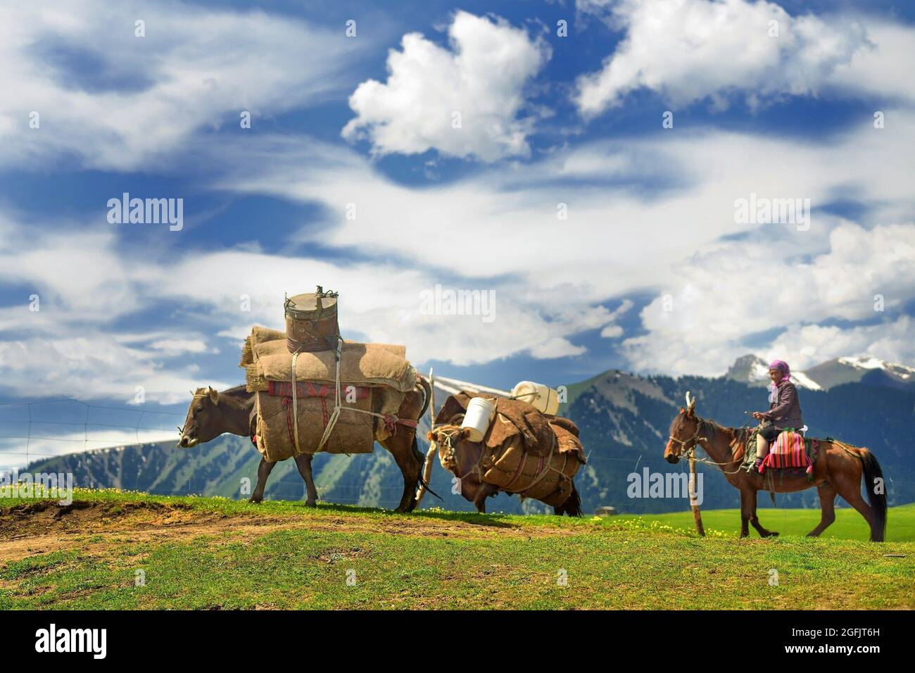 Yili, Yili, China. 26th Aug, 2021. Herdsmen in the Yili River Valley in ...