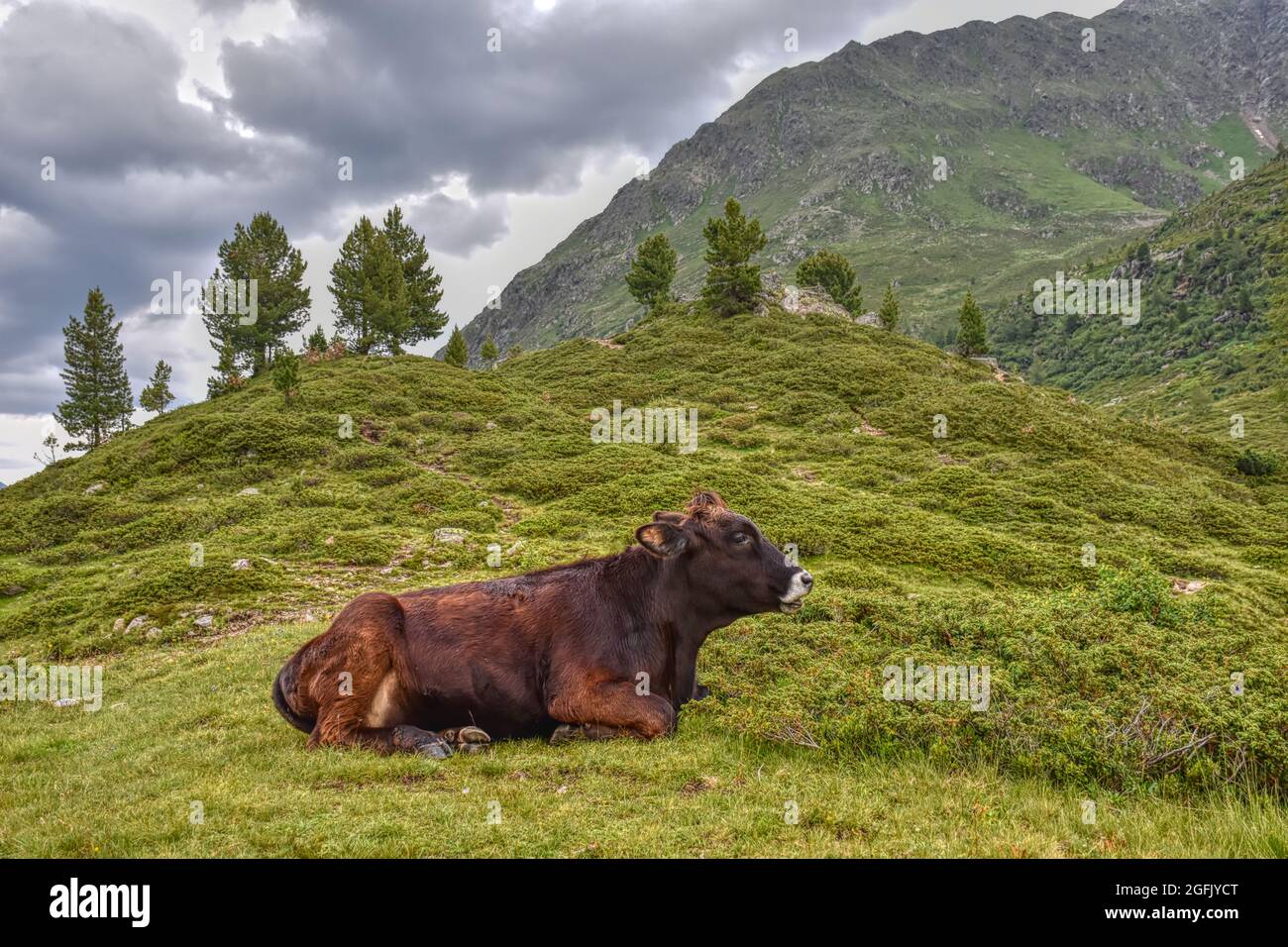 Bulle sommer hi-res stock photography and images - Alamy