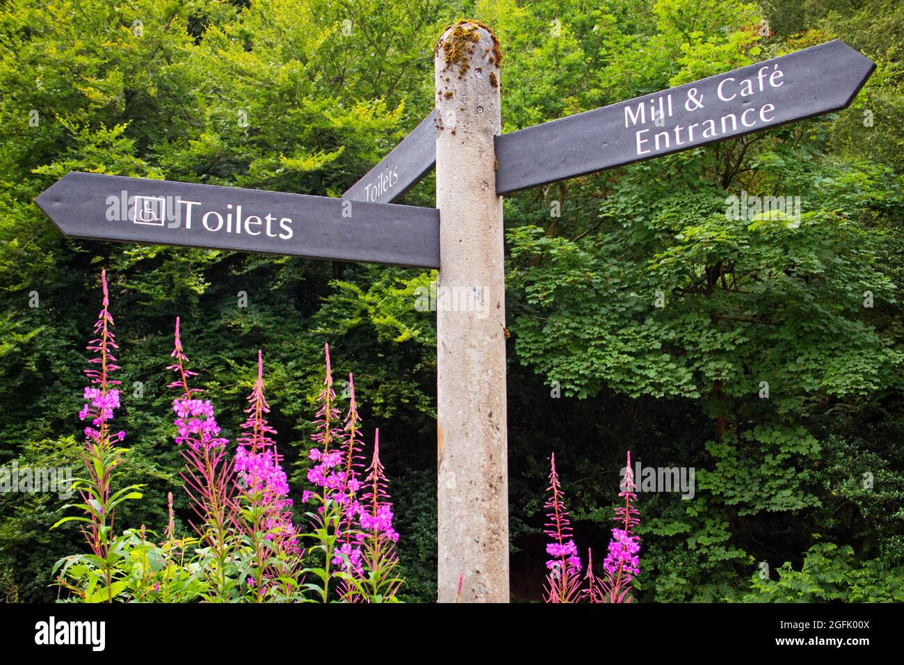A signpost, surrounded by flowers and trees, in a garden and woodland ...