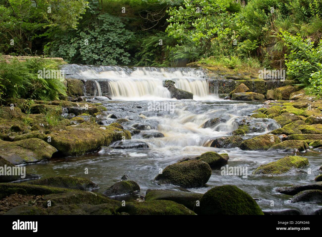 The weir at Hebden Beck, surrounded by the greenery of summer. The beck ...