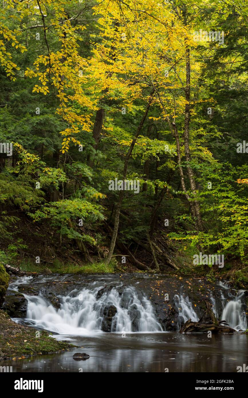 Greenstone Falls - A waterfall in the woods during autumn Stock Photo ...