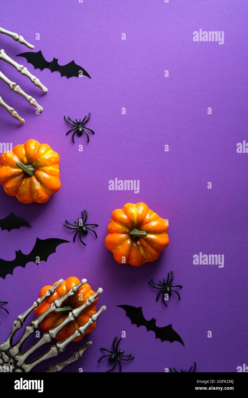 Flat lay Halloween decorations, pumpkins, bats, spiders on purple ...