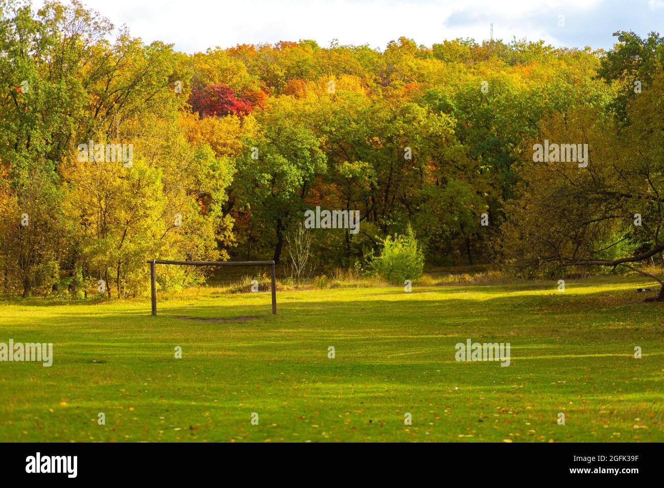 Autumn landscape of a glade of green lawn with sunbeams in a city park ...