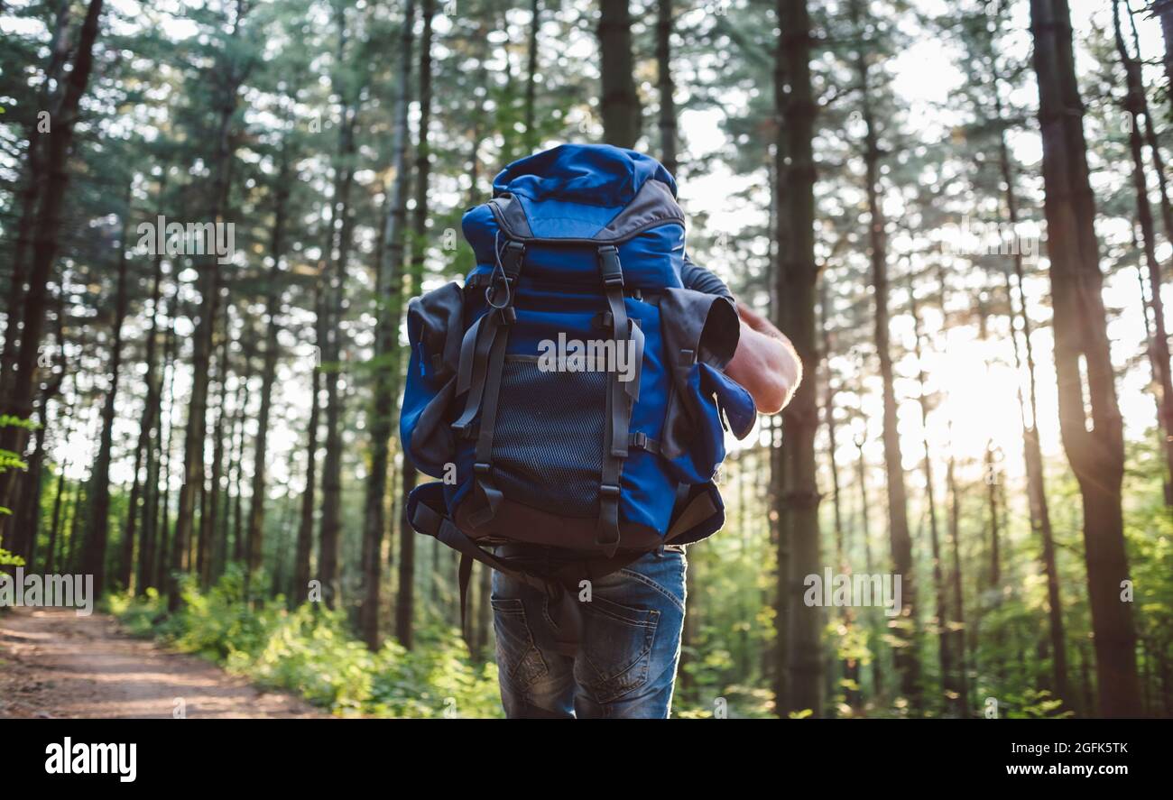 Hiker man with a big backpack in the forest from behind Stock Photo - Alamy
