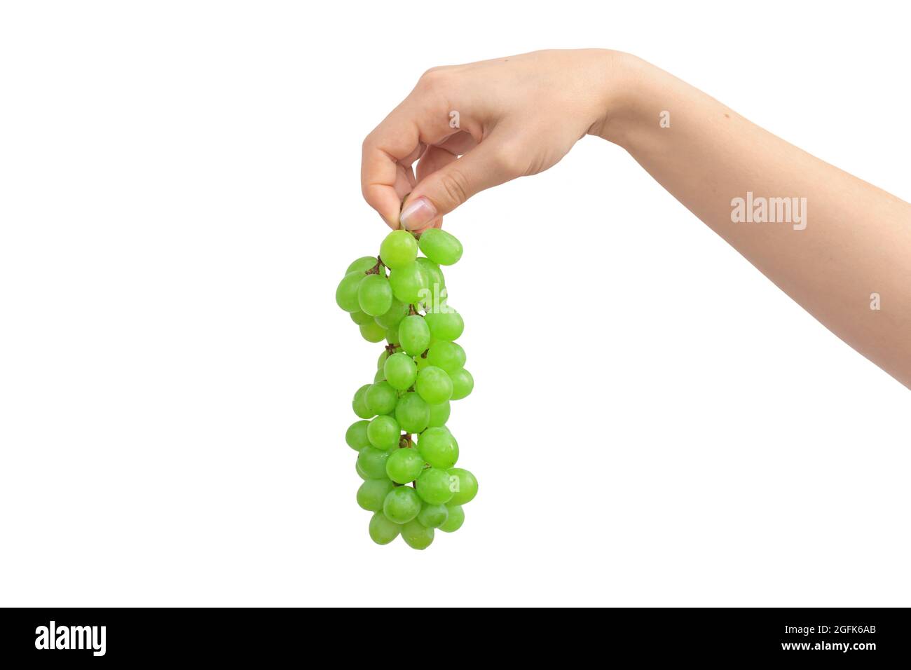 Hand holding bunch of grapes isolated on white background Stock Photo - Alamy