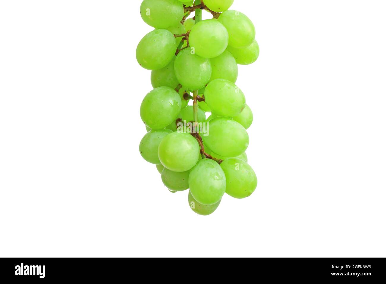 Green grapes close-up isolated on white background Stock Photo - Alamy