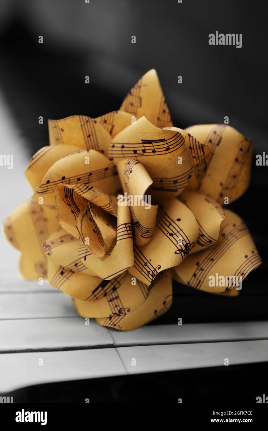 Rose made of music notes on piano keys Stock Photo - Alamy