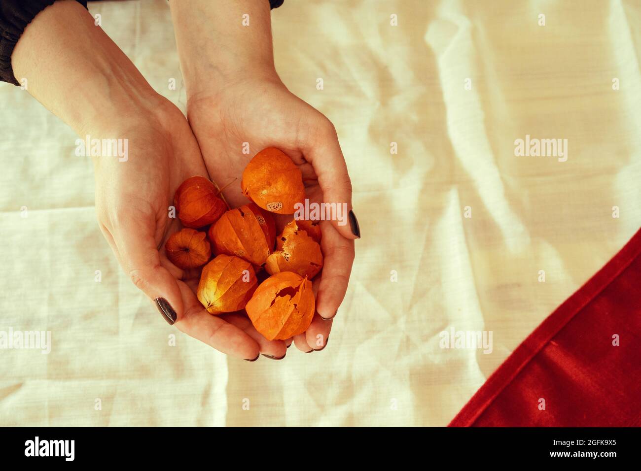Handful of physalis fruit, view from above Stock Photo - Alamy