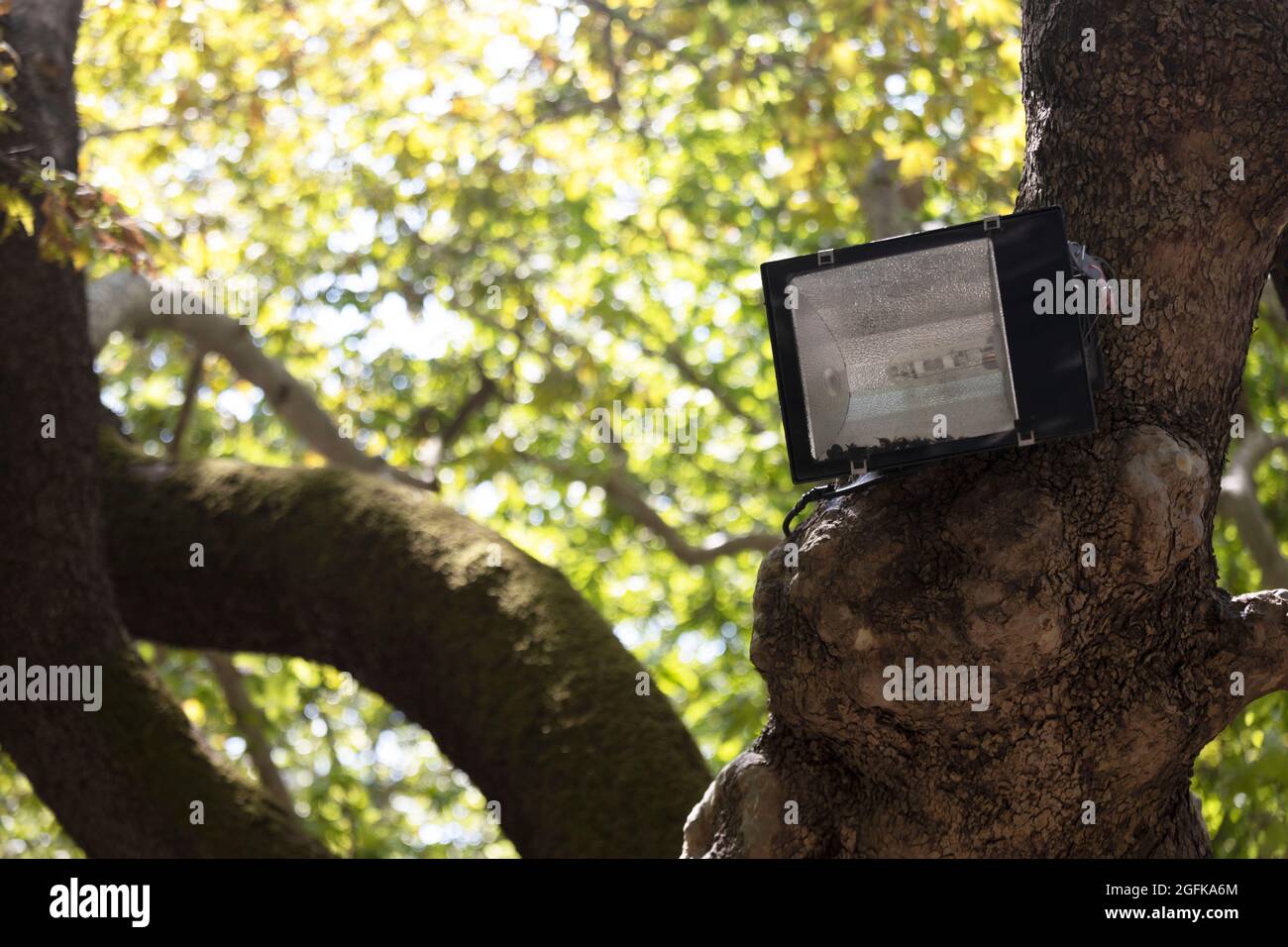 Led metal tree garden hi-res stock photography and images - Alamy