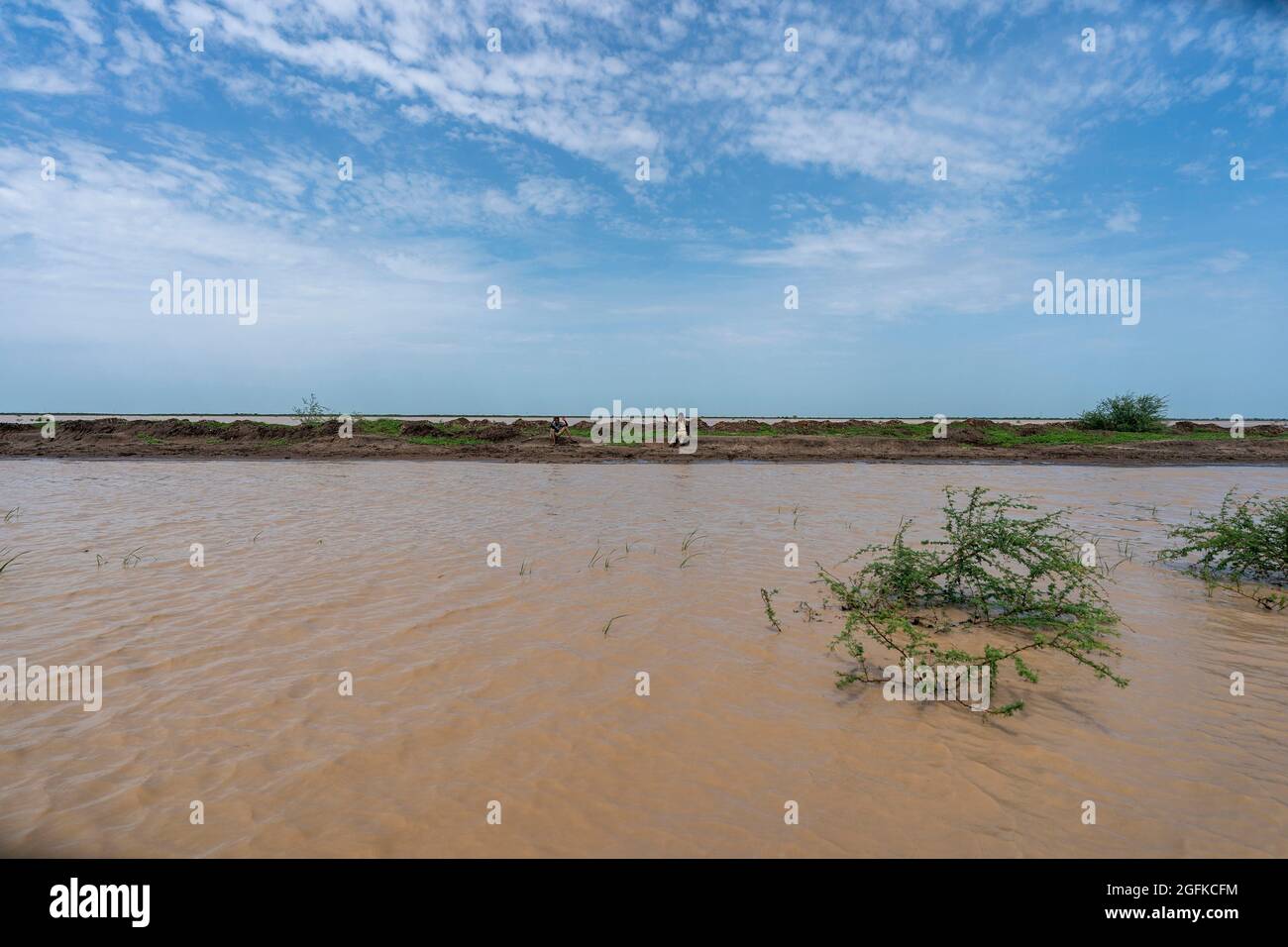 Gedaref, Washington, Sudan. 24th Aug, 2021. Young goat herders sit on a ...