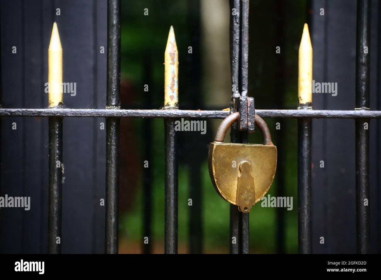 Golden padlock on an old fence gate Stock Photo - Alamy
