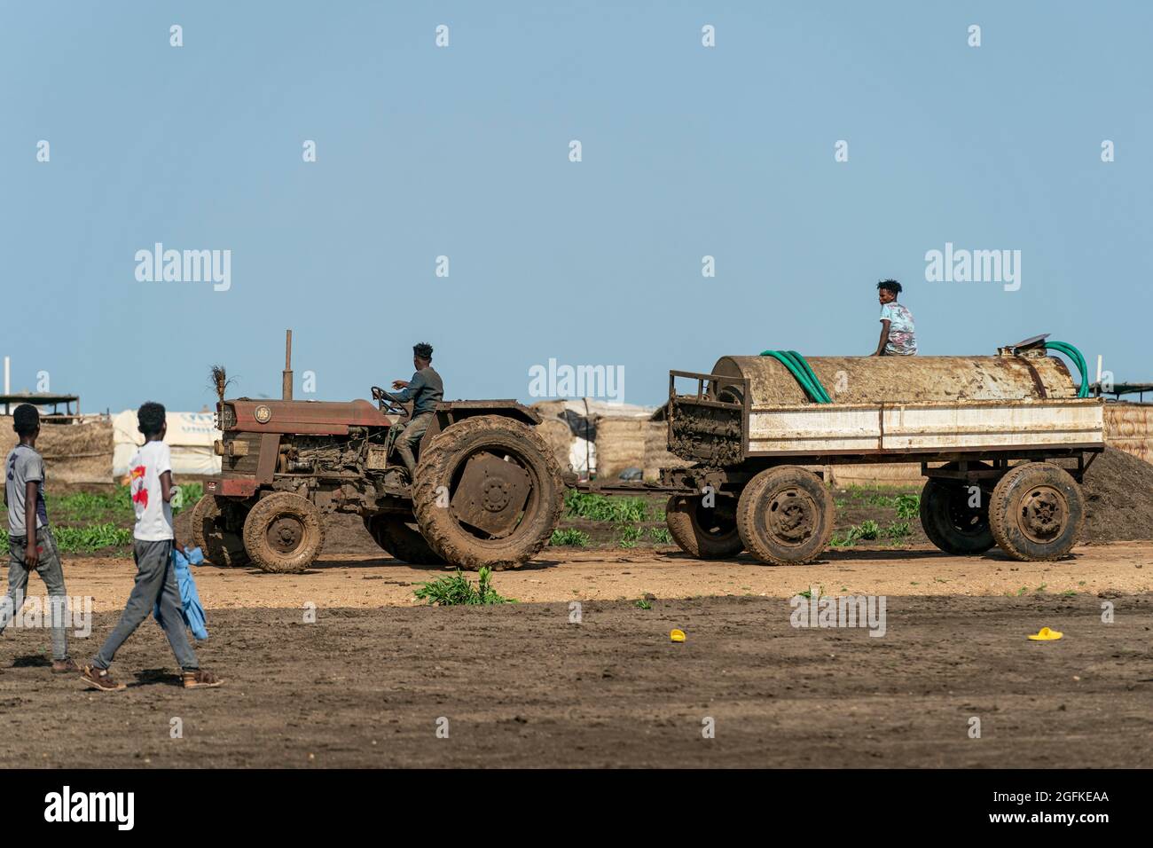 Gedaref, Washington, Sudan. 24th Aug, 2021. A tractor delivers treated ...