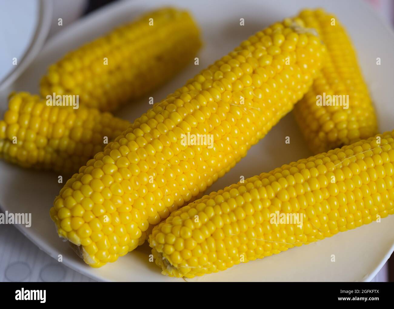 Yellow corn background, shallow depth of field. Selective focus Stock ...