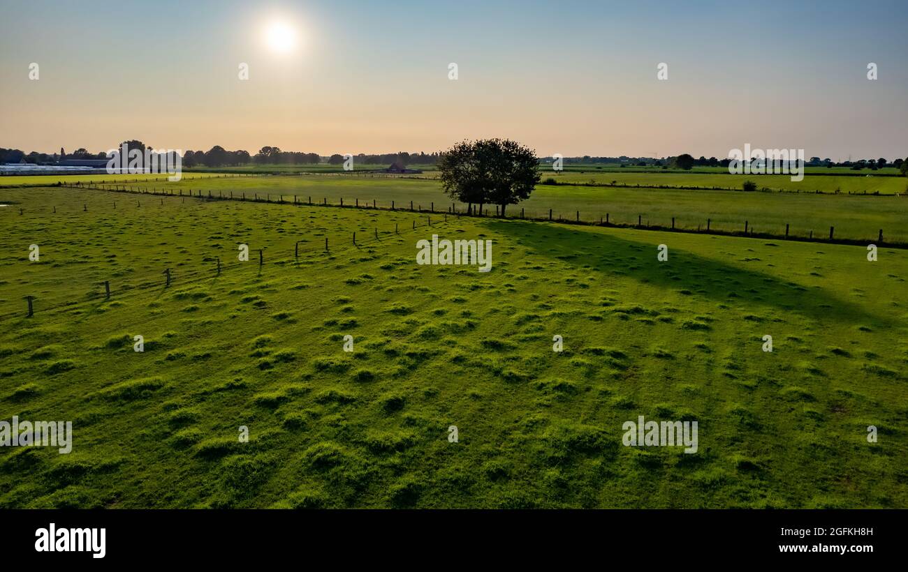 Aerial view with a drone of a spring wavy agricultural countryside ...