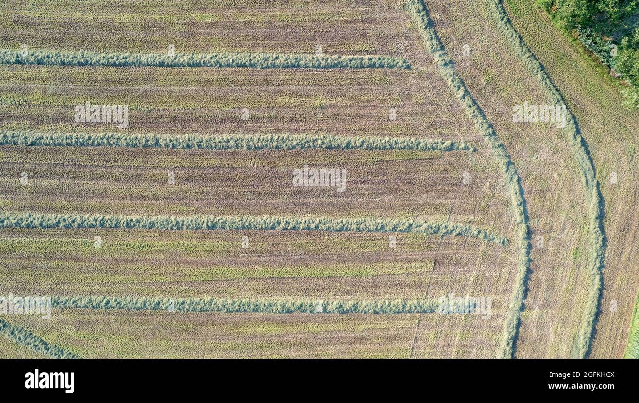 Aerial view geometric farming fields, showing a green meadow and plowed ...