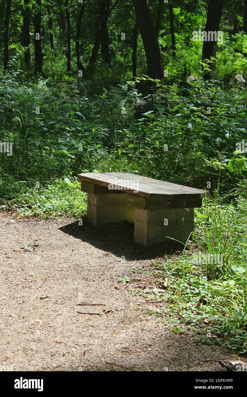 Wooden bench overgrown lush hi-res stock photography and images - Alamy