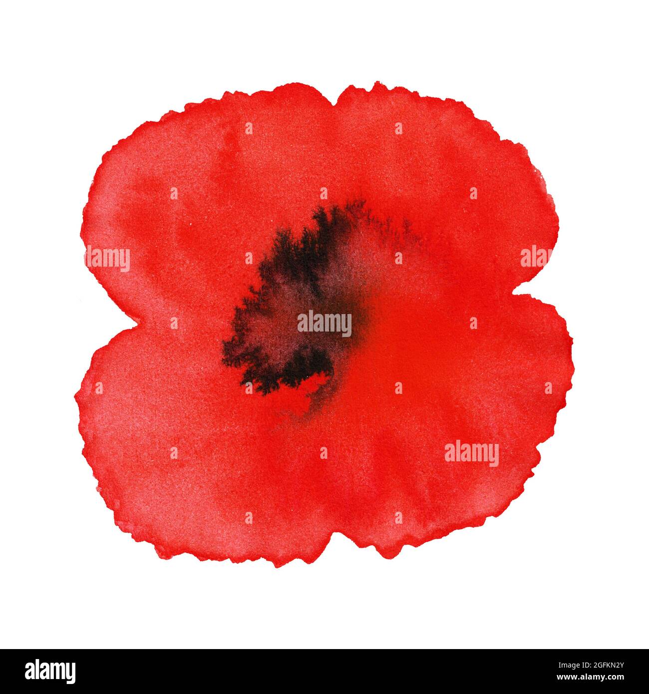 Red poppy simple flower, watercolor on white background Stock Photo - Alamy