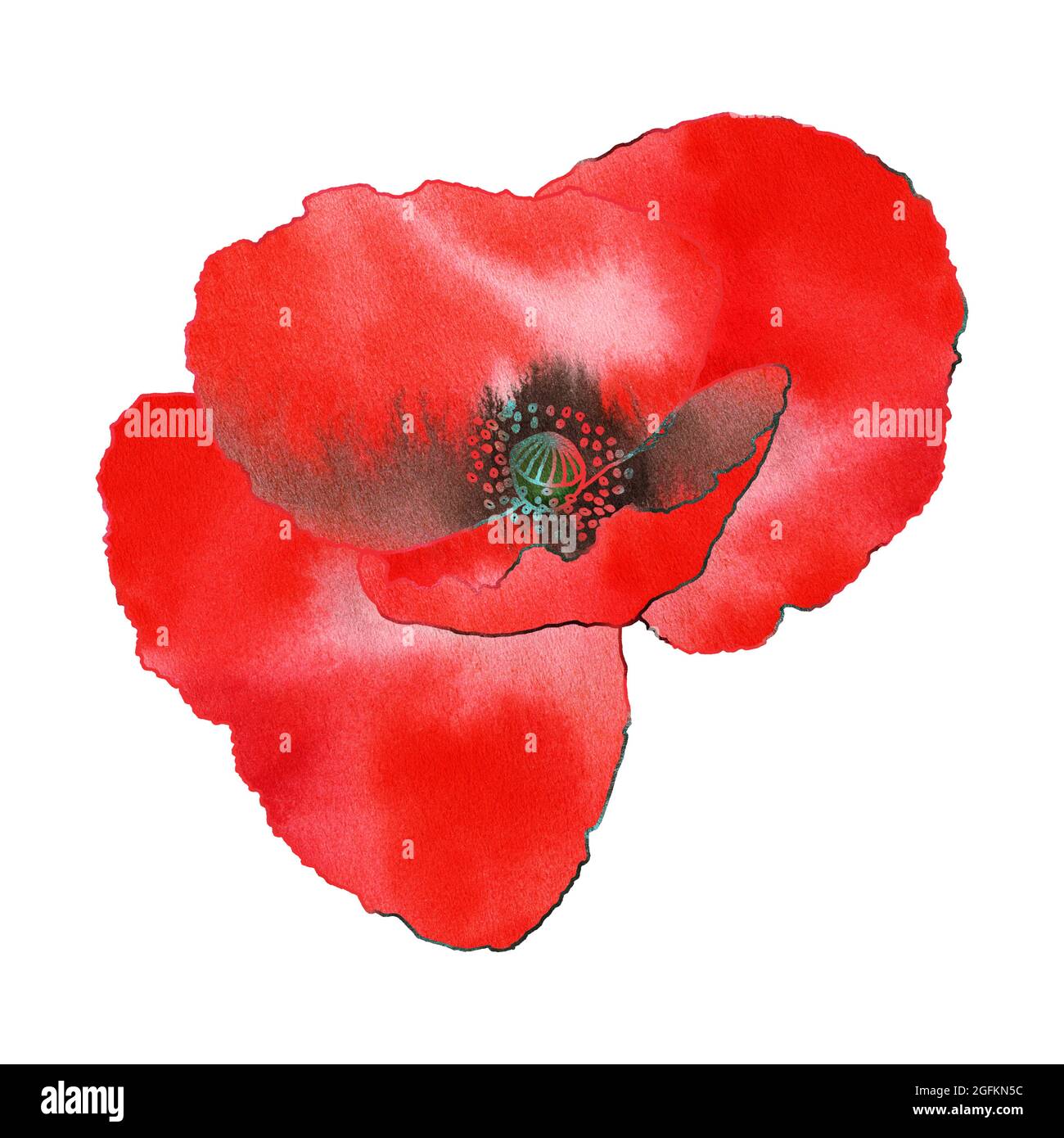Red poppy flower digital collage with watercolor texture on white ...