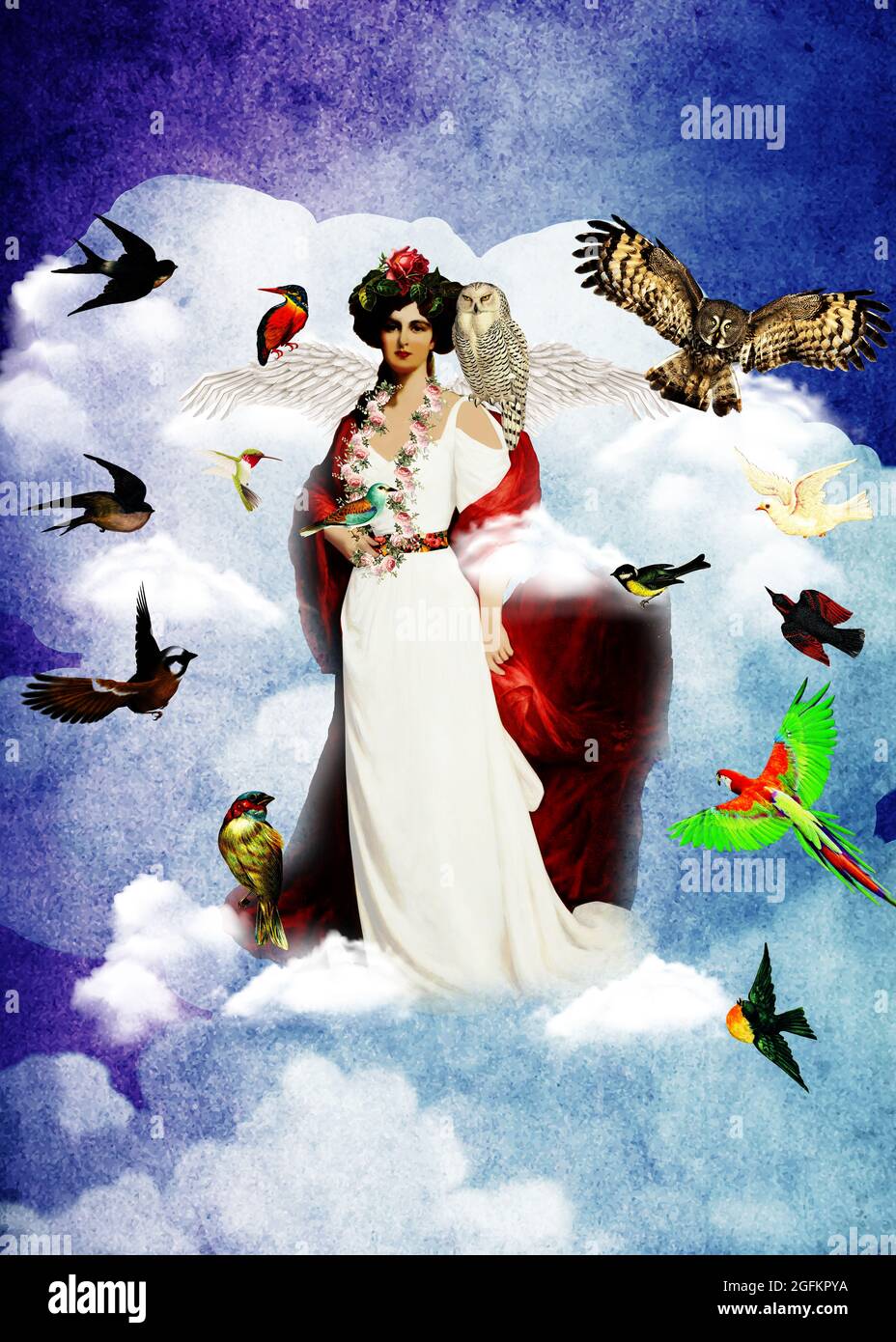 The Queen of Birds Stock Photo - Alamy