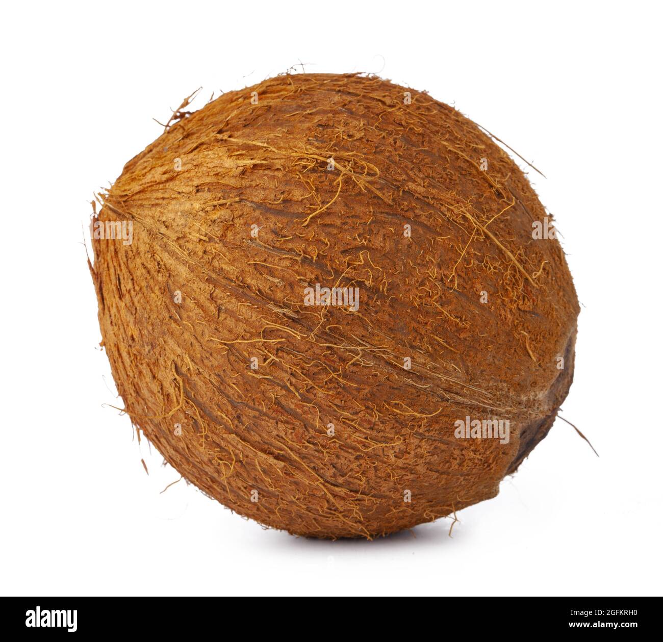 Whole coconut close up isolated on white background Stock Photo - Alamy