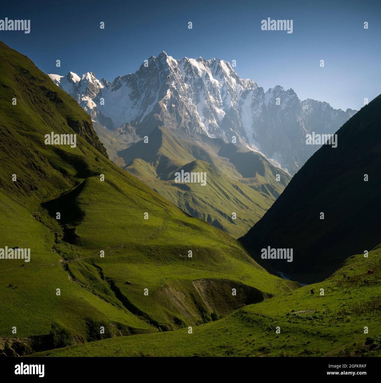 The epic snow-capped Bezengi Wall and valley of the Caucasus in Ushguli ...