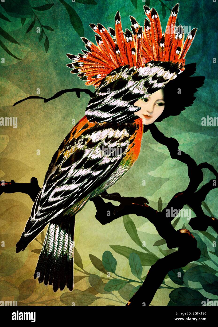 Mrs bird hi-res stock photography and images - Alamy