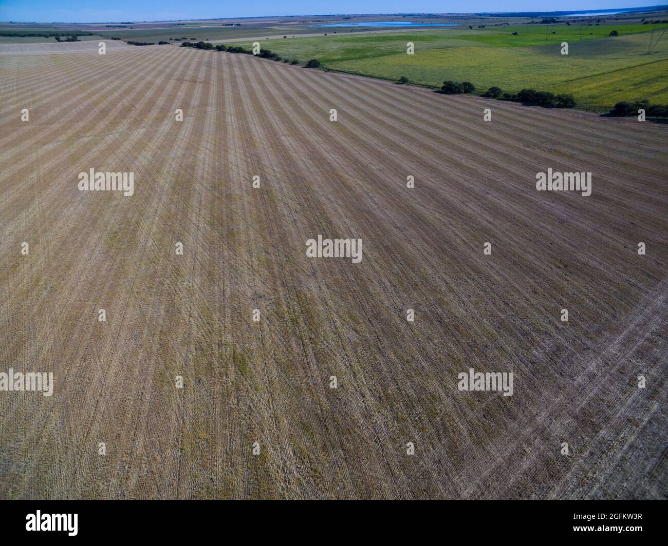 Aerial View of sown field in the Argentine countryside, Pampas province ...