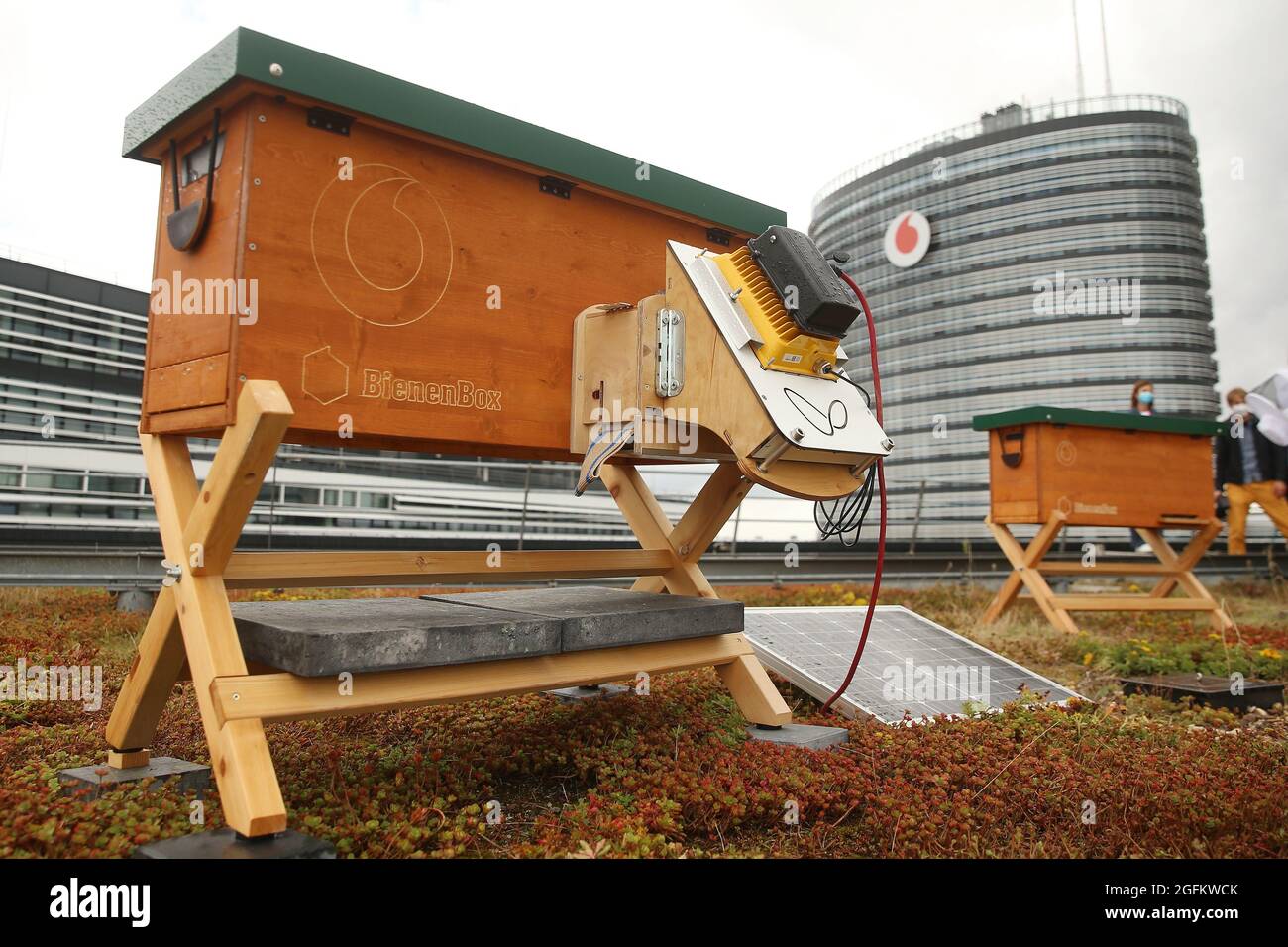 Gigabeeprotect hi-res stock photography and images - Alamy