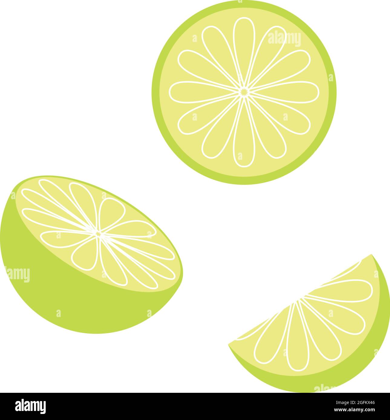 Vector lime. Lime slices and juice, collection of vector illustrations ...