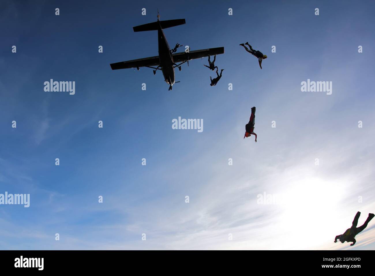 Skydiver jumping from the plane at the sunset Stock Photo - Alamy