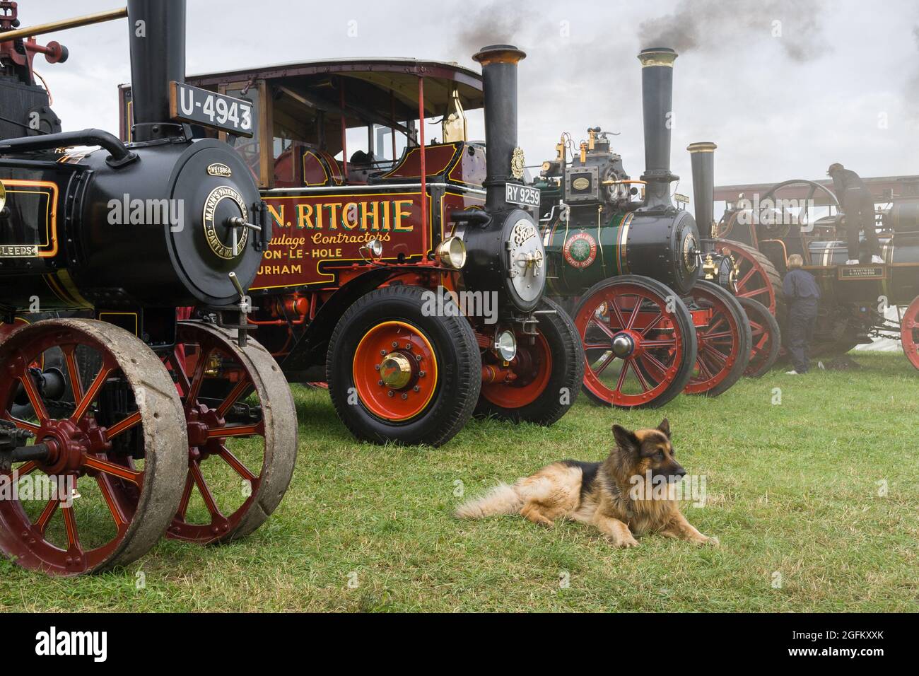 Pickering Steam Rally 2010 Stock Photo - Alamy