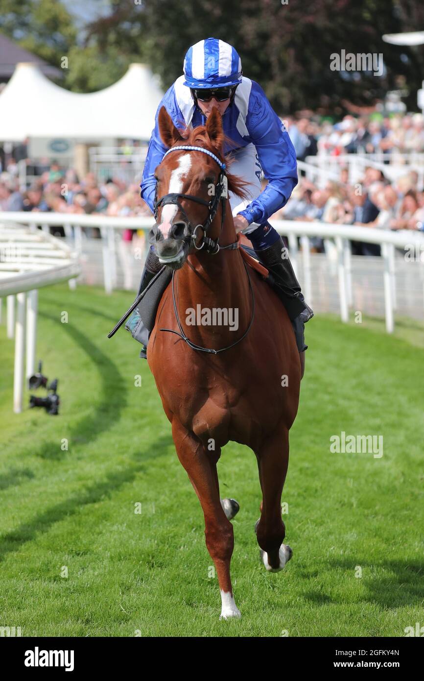 Jim crowley horse racing hi-res stock photography and images - Alamy