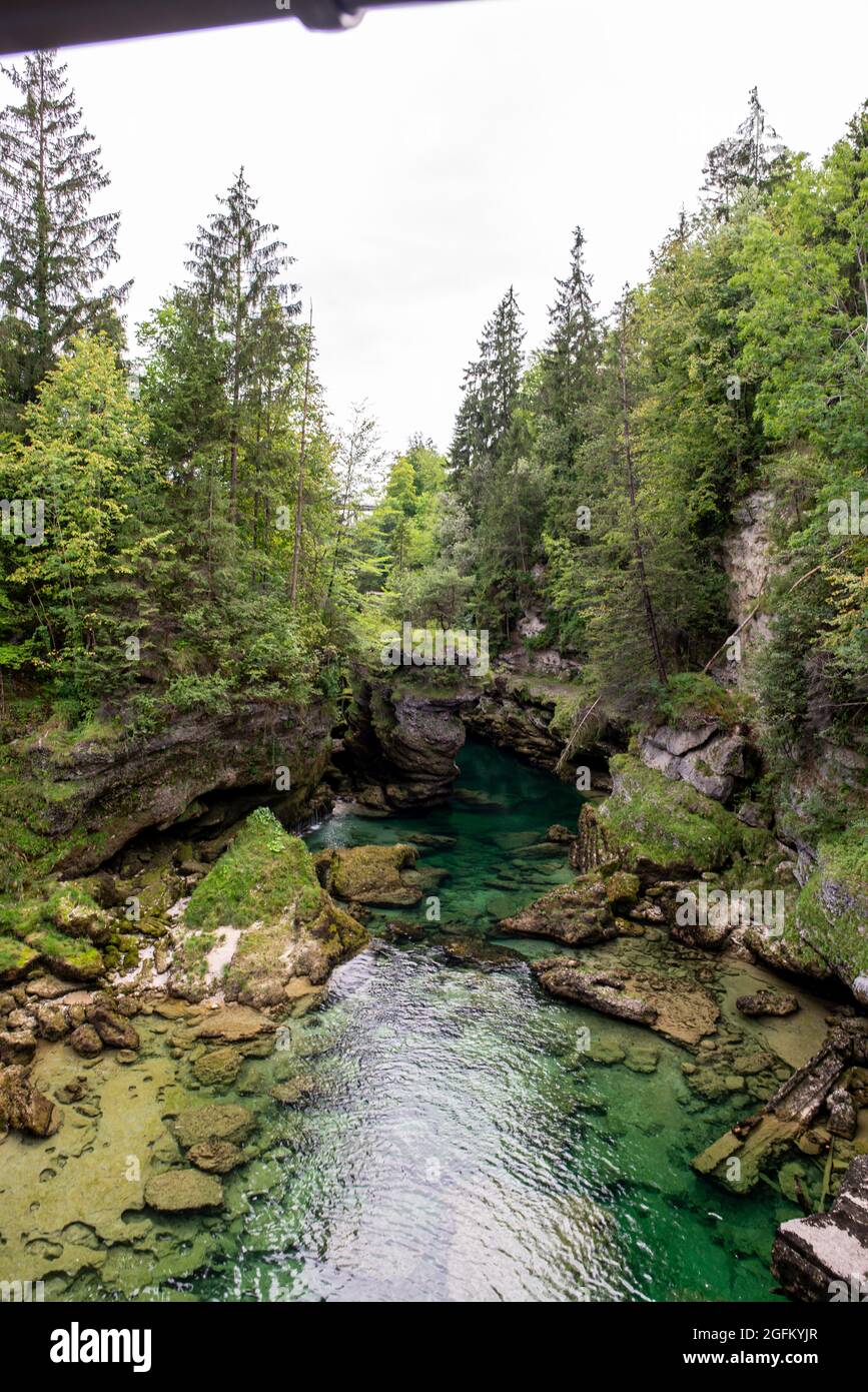 Waterfall in forest Stock Photo - Alamy
