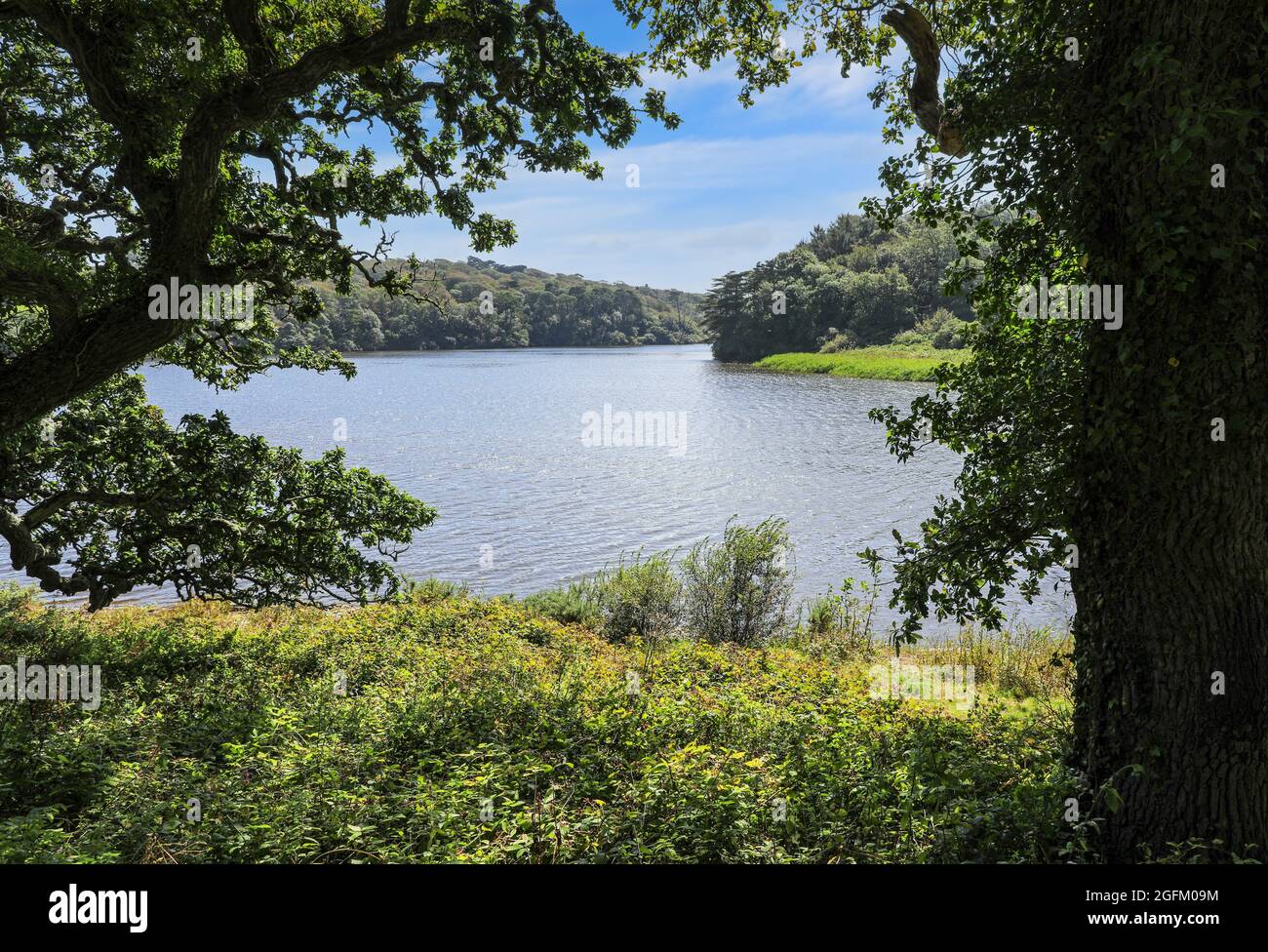 The Loe or Loe Pool, Cornwall's largest natural lake, near to Loe Bar ...