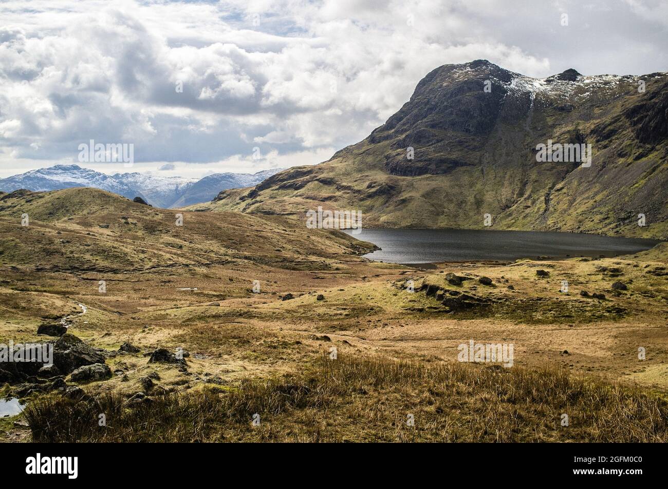 Central Asian countries, the forests of Turkmenistan Stock Photo - Alamy