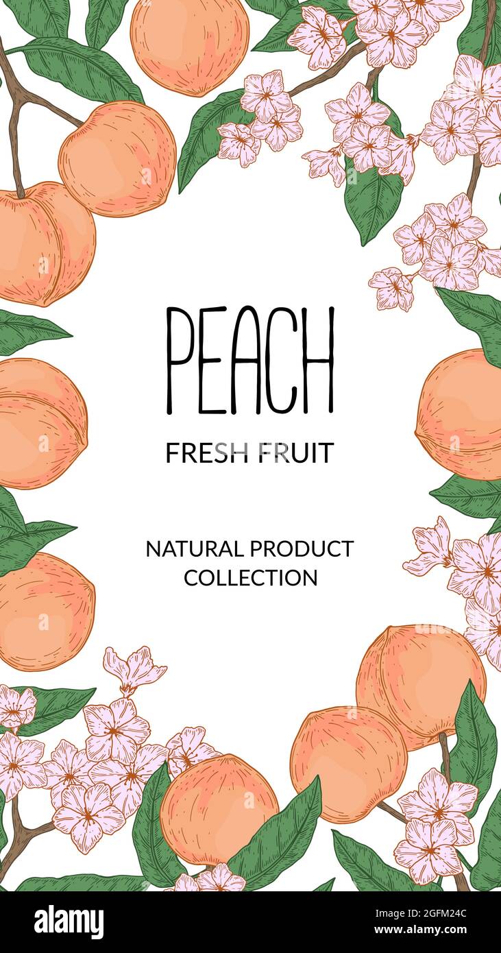 Pink peach flower blossom Stock Vector Images - Alamy