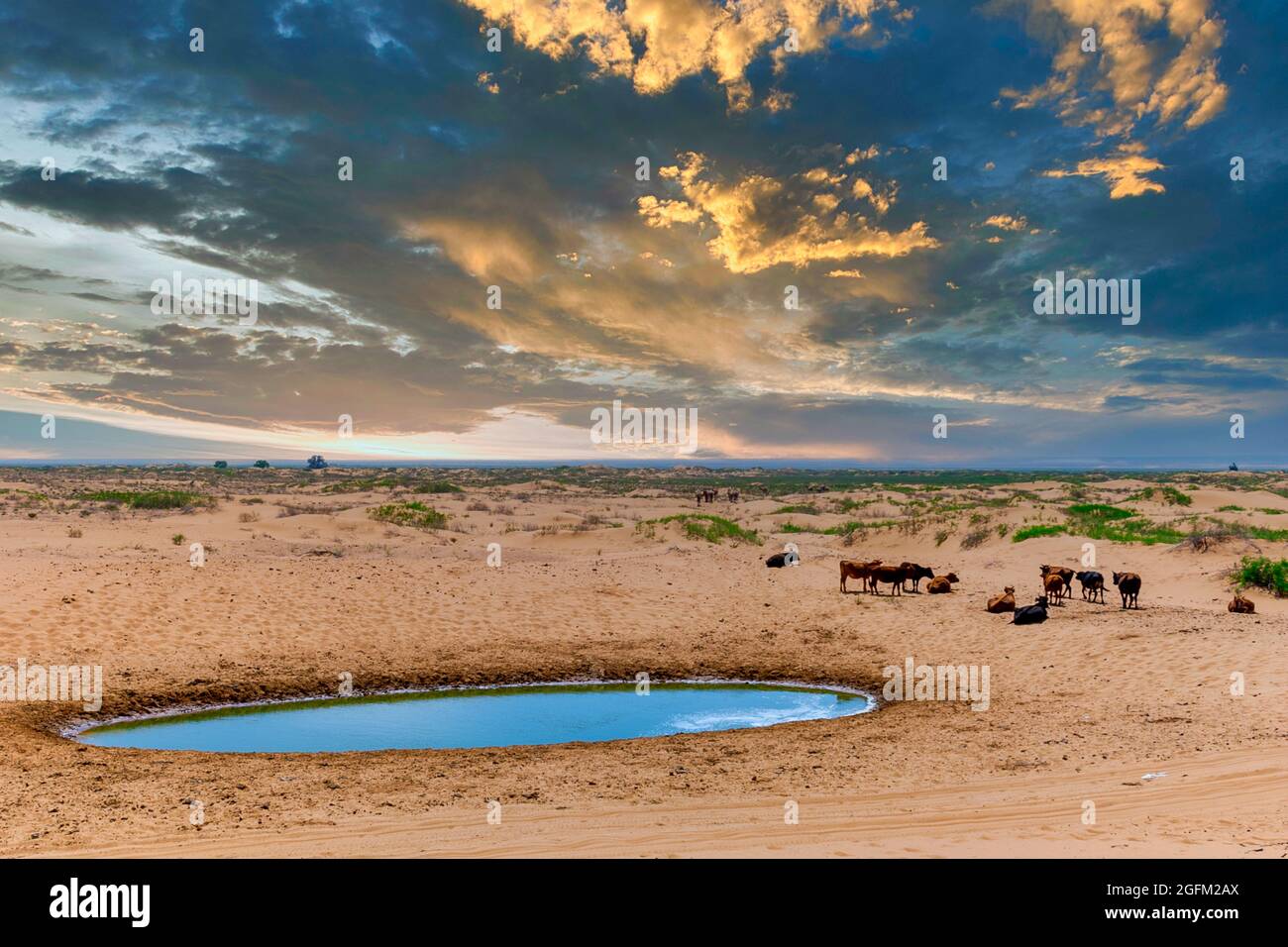 Turkmenistans desert hi-res stock photography and images - Alamy