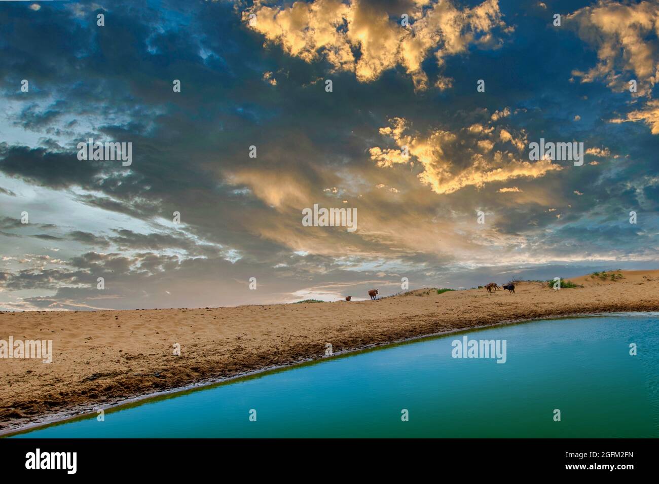 Central Asian country, the desert of Turkmenistan Central Asian country ...