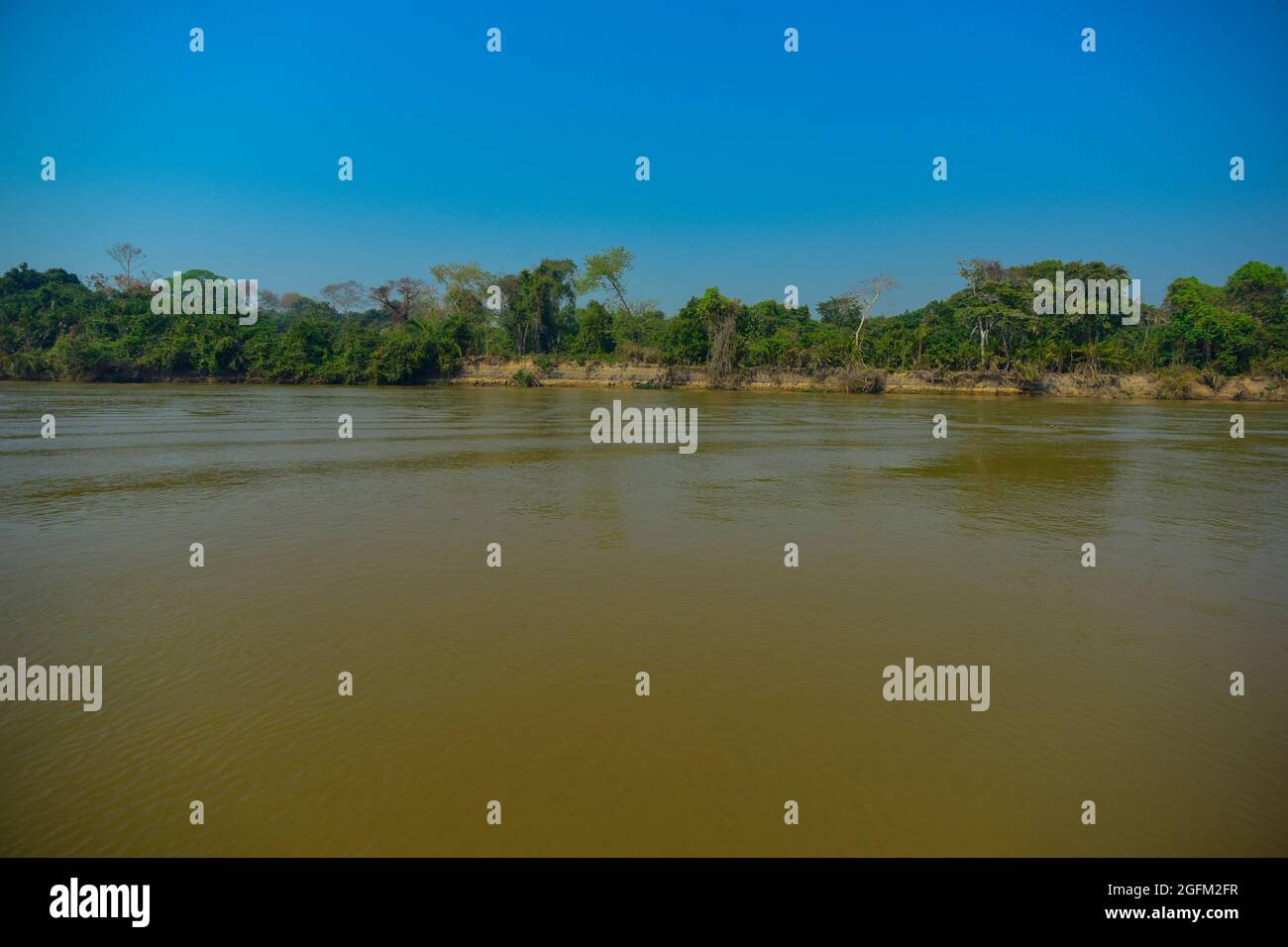 Cuiabá river landscape, Pantanal Forest , Mato grosso, Brazil Stock ...